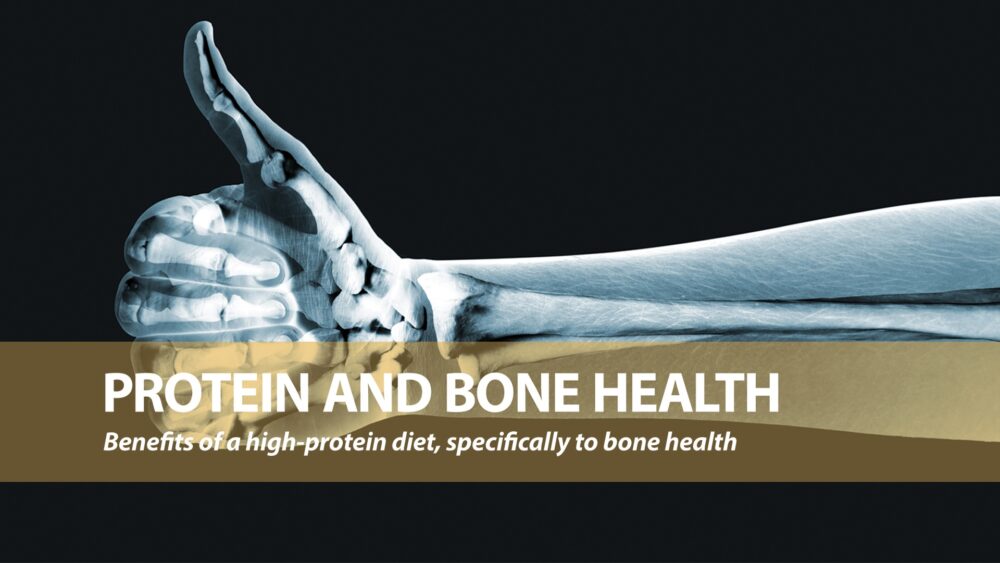 BONE HEALTH AND EATING A HIGH-PROTEIN DIET — JohnsKillerProtein.com